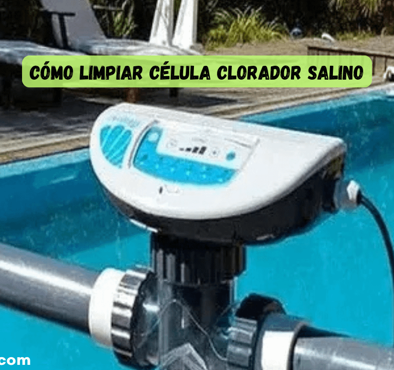 Cómo Limpiar Célula Clorador Salino: Guía Completa para Mantenimiento ...